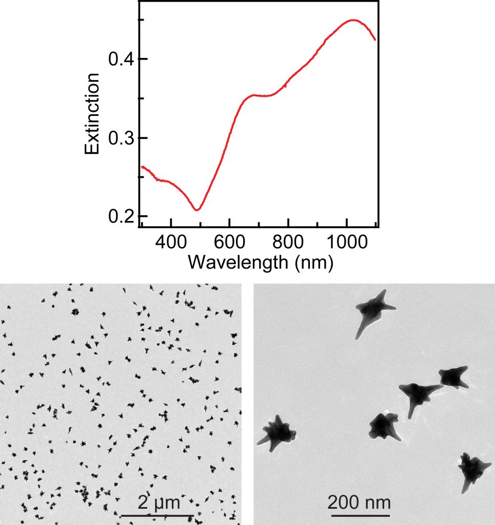 Au Nanostars – NanoSeedz