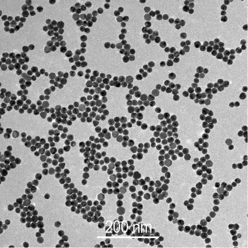 Citrate-Capped Au Nanospheres – NanoSeedz